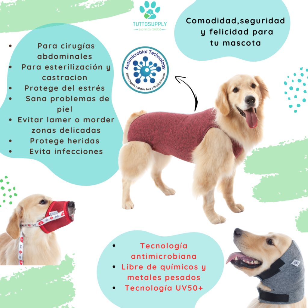 Inicio - Tuttosupply